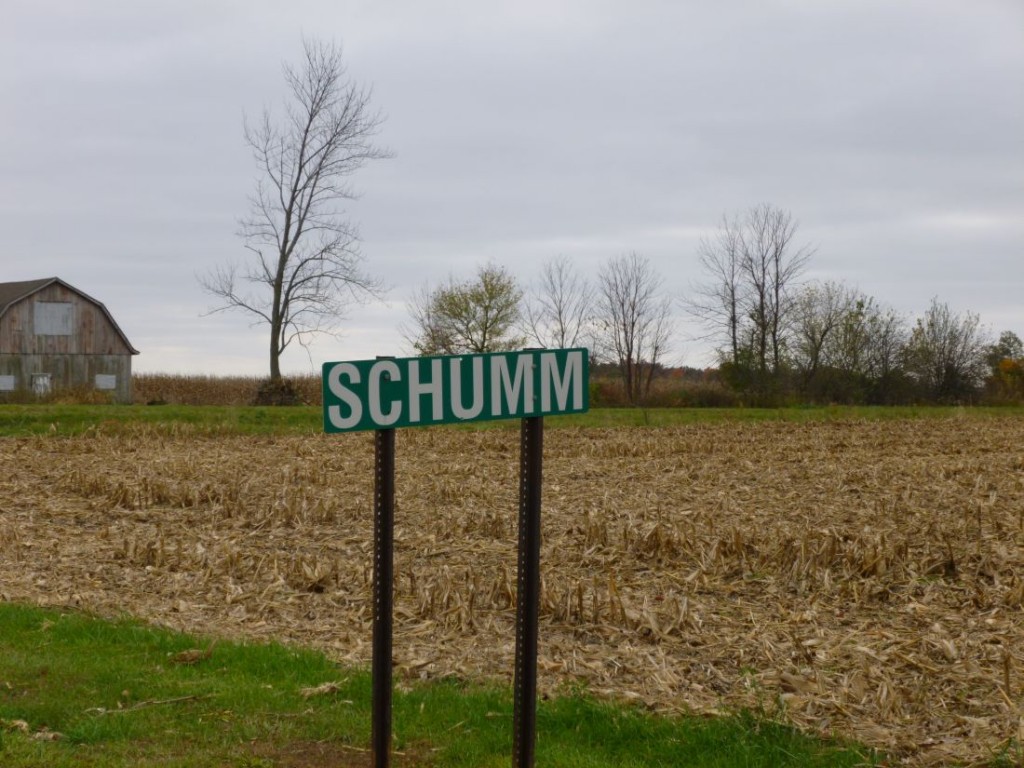 One That Got Away–Seeking Information about Schumm – Karen’s Chatt