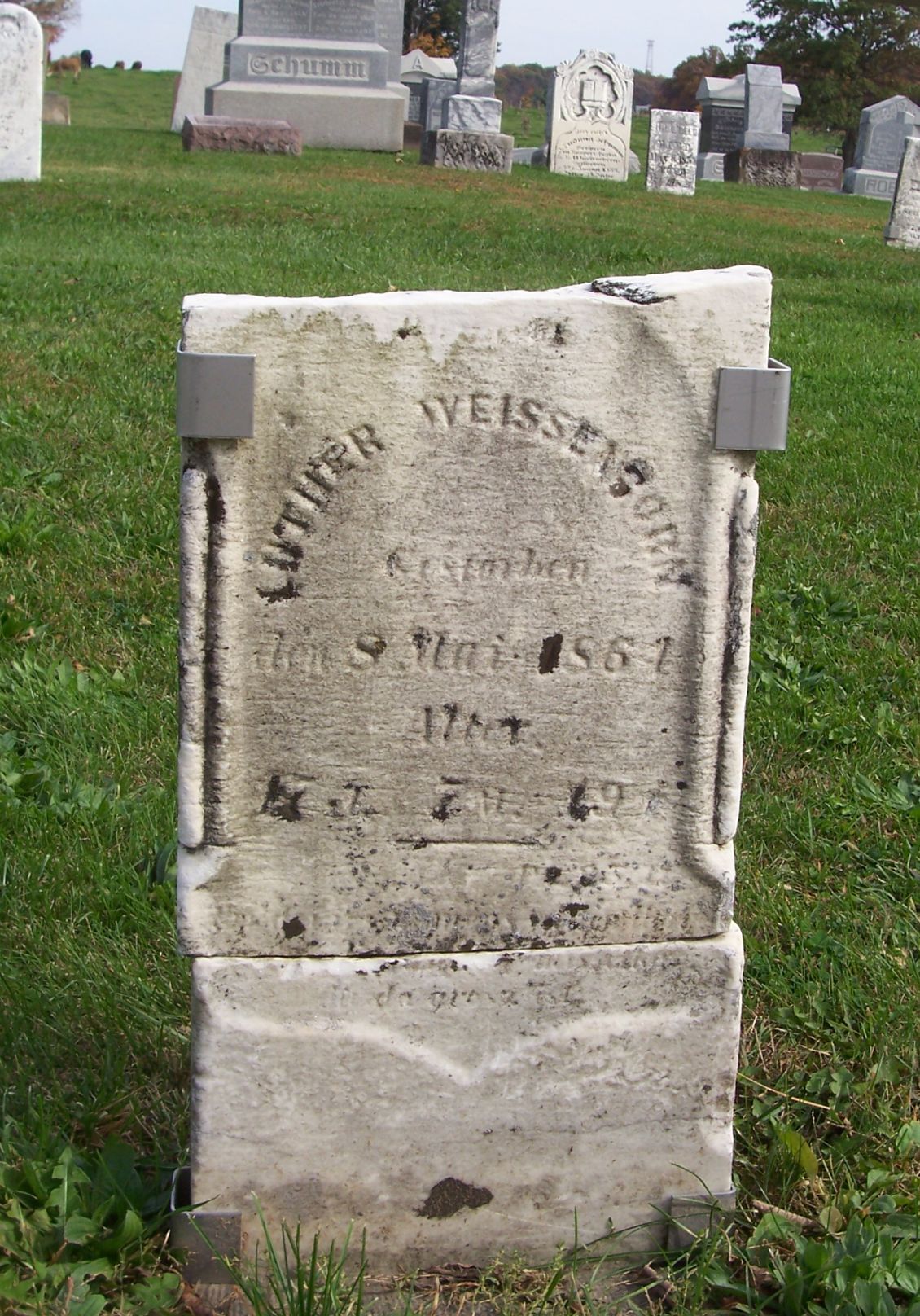 Weisenborn Research Opportunity – Karen’s Chatt