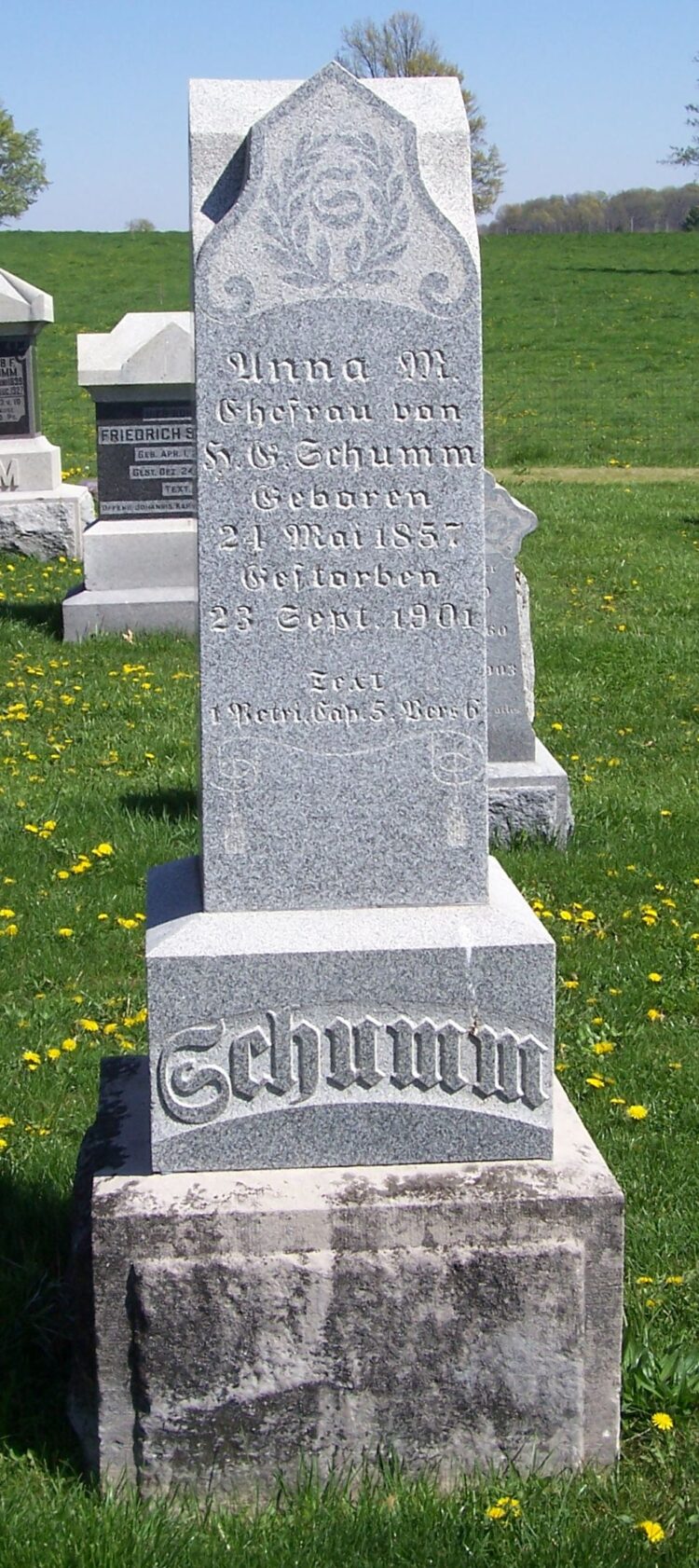Tombstone Tuesday-Anna M. (Roehm) Schumm – Karen's Chatt