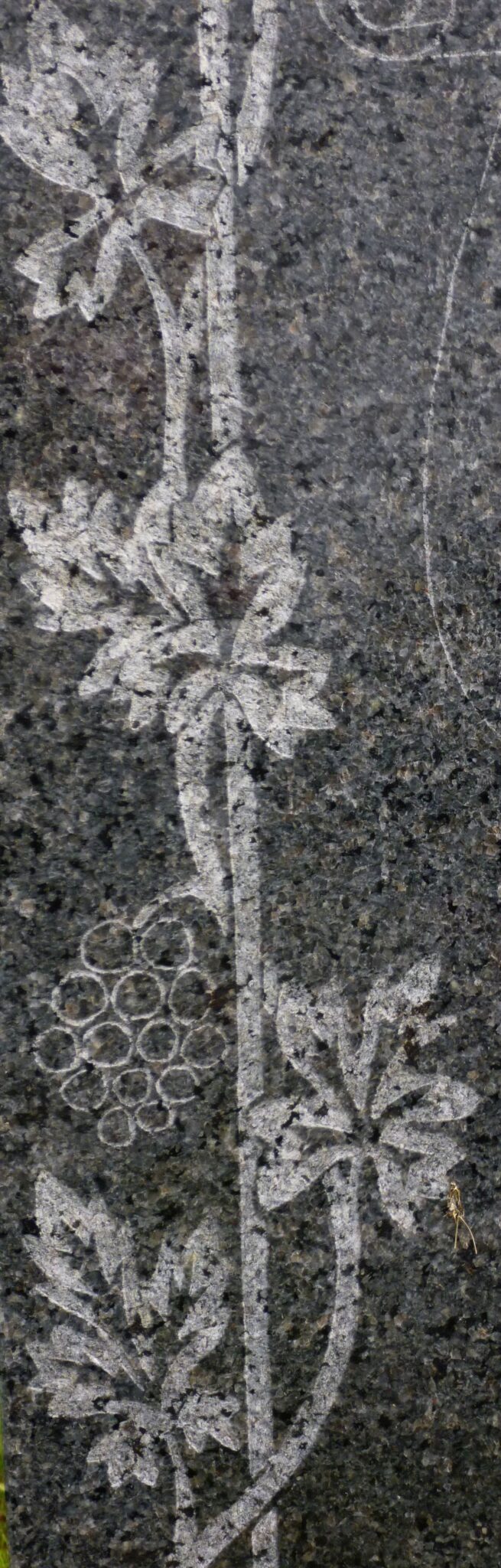 Tombstone Tuesday-Grapevine Symbol – Karen’s Chatt