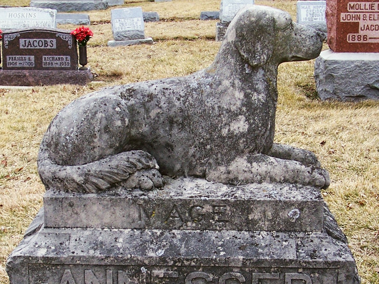 Karen's Chatt – Karen's Chatt